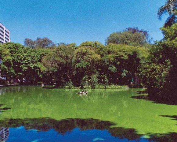 Curitiba – Portão do Passeio Público – Imagem: Espirais do Tempo ...
