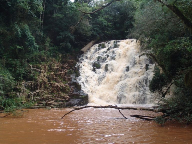 Sarandi – Parque Estadual do Papagaio-Charão – Imagem: SEMA | ipatrimônio